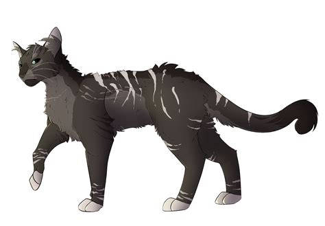 Nuage De Rapace Ombre Finis