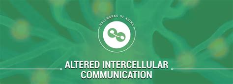 Why We Age Altered Intercellular Communication