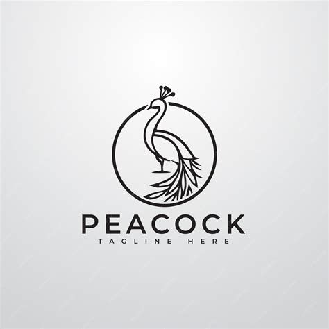 Premium Vector Peacock Logo Designs
