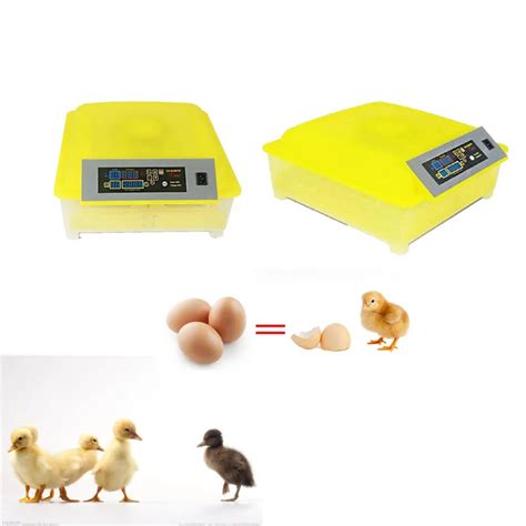 Automatic Chicken Eggs Incubator Hatching Machine Industrial Chicken Incubator Temperature