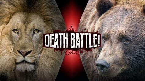 Lion Vs Bear Meet The Brown Bear Who Is Best Friends With A Lion And A