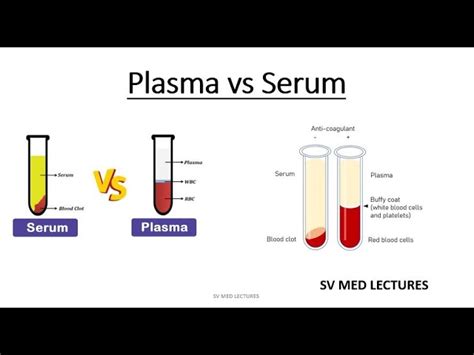 Serum Plasma