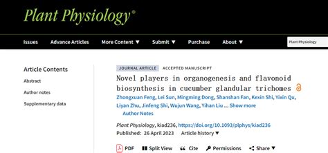 中国农业大学园艺学院 学术动态 园艺学院任华中刘兴旺课题组解析黄瓜腺体表皮毛发育及其内部类黄酮代谢调控新机制