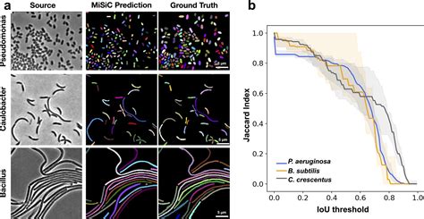 Misic A General Deep Learning Based Method For The High Throughput