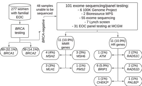 Flowchart Of Variants Detected Through Brca Screening And Wider Download Scientific Diagram