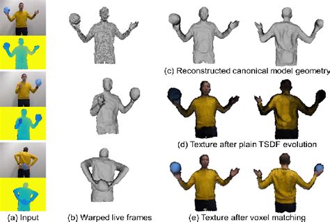 Figure 1 From Variational Level Set Evolution For Non Rigid 3d