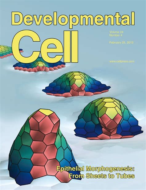 Issue Developmental Cell
