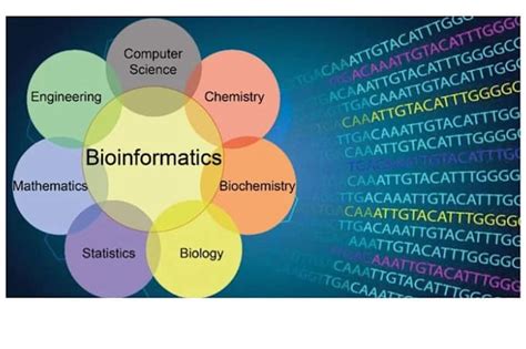 Assist You In Bioinformatics Analysis By Muh Taqi Fiverr