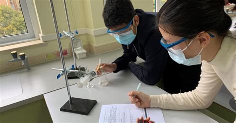 The Placenta Amniotic Fluid And Transition Metals February 2023