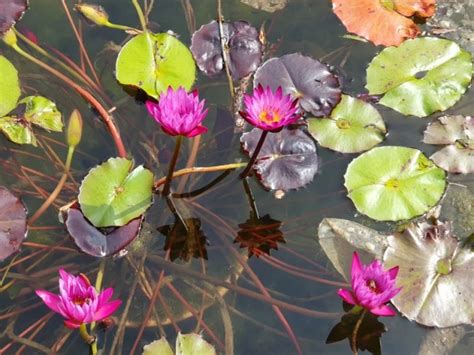 이 여자가 사는 법1살인자의 딸흐느끼는 아버지는 미안하다라는 말만 되풀이소원 고아원에서 헤어진 남동생을부처님 가피 아래서로만카라의 젊은 신부가스님과 사제를 위해