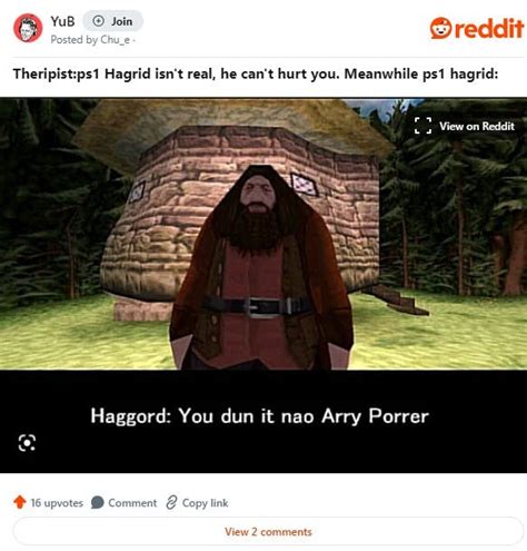 What Is The Ps1 Hagrid Meme And Where Is It From
