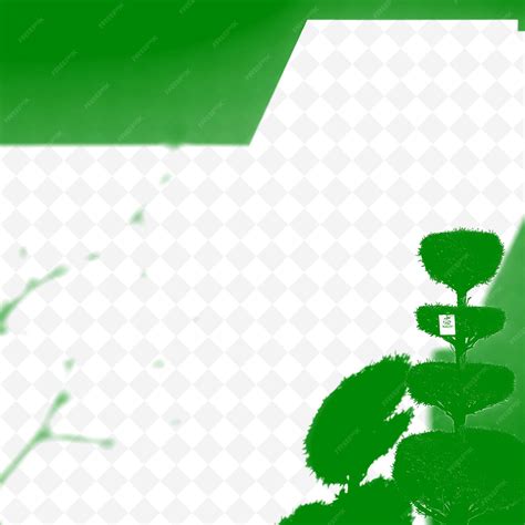 Topiary Shadow Casting Geometric Sculpted Shapes Defined Artist Png