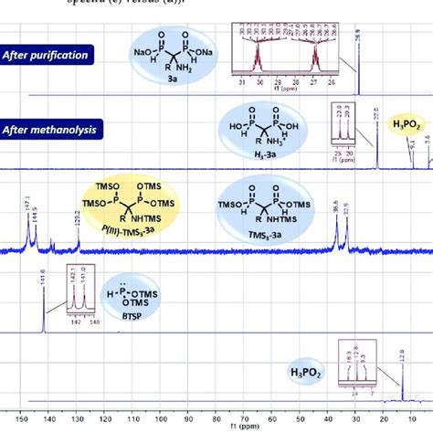 A E 31 P Dark Red And 1 H 31 P Blue Nmr Monitoring Of The