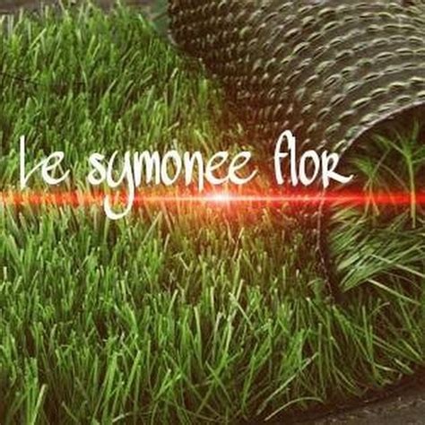 Le Symonee Youtube