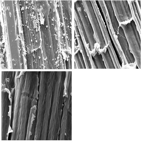 Figure 1 From Polylactic Acid And Polyhydroxybutyrate Coating On Hemp