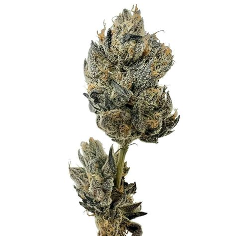 Rosé Killer East Coast Cannabis