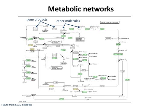 Ppt Introduction To Networks Powerpoint Presentation Free Download Id2631206