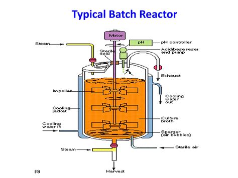 Bioreactor Types In Detail With Diagrams Ppt