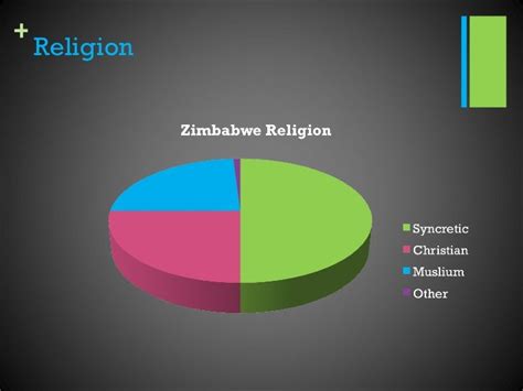 Perfect Zimbabwe Project
