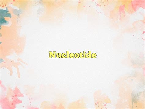 Nucleotide Definition And Meaning