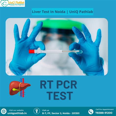 Liver Test In Noida Uniq Pathlab By Gyaan Jyoti Medium