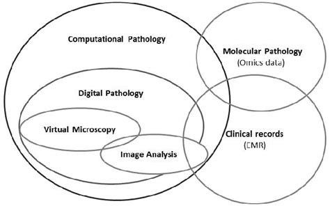 Schematic Illustration Of New Fields Of Pathology Download Scientific Diagram