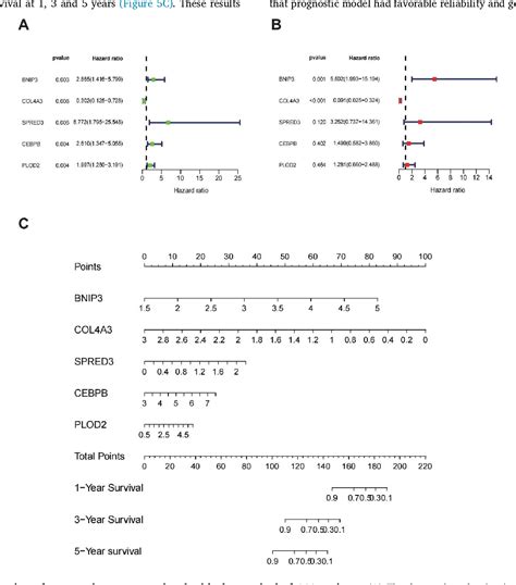 Figure 4 From A Model Of Five Genes Of Tumor Microenvironment Predicts