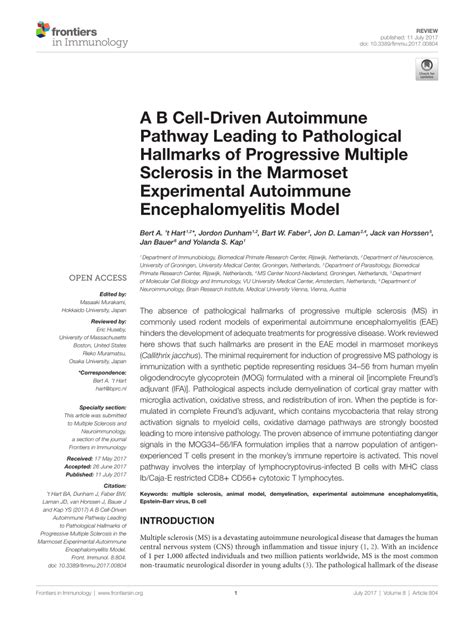 PDF A B Cell Driven Autoimmune Pathway Leading To Pathological