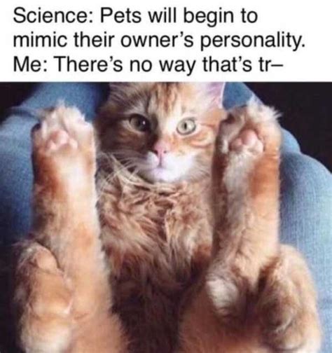 Funny Sex Related Memes KLYKER COM