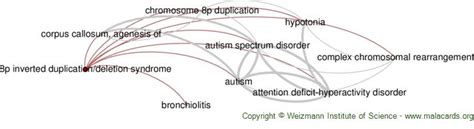 8p Inverted Duplicationdeletion Syndrome Disease Malacards Research