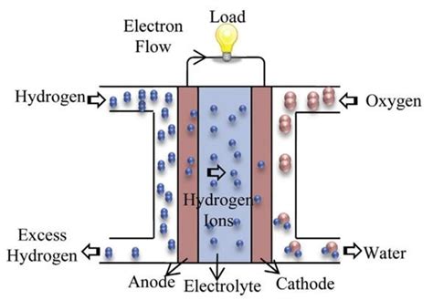 The Schematic Diagram Of A Single Cell Fuel Cell 22 Download