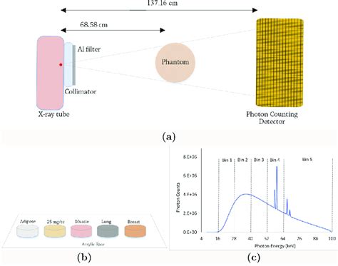a schematics of the inline phase sensitive x ray imaging prototype
