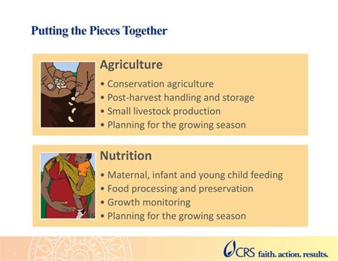 Comprehensive Multi Dimensional Programming For Nutrition Jessica