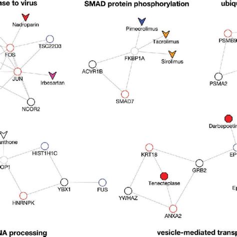 Drug Host Factor Interaction Subnetwork This Subnetwork Contains 9