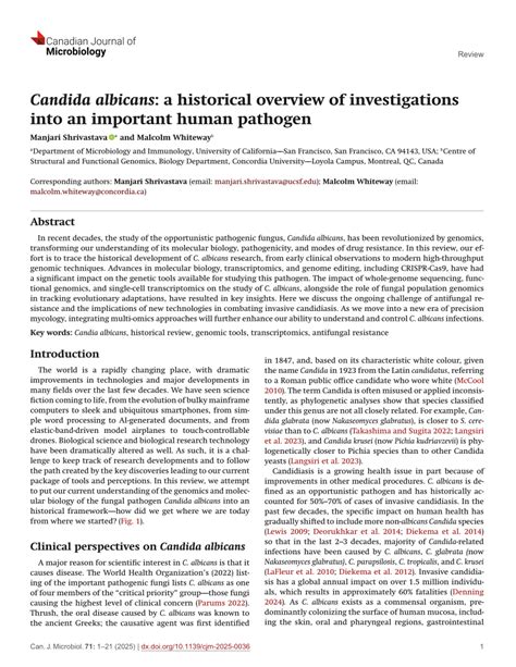 Candida Albicans A Historical Overview Of Investigations Into An Important Human Pathogen