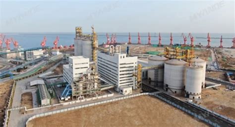 6000tpd Soybean Crushing Plant Successfully Putting Into Operation