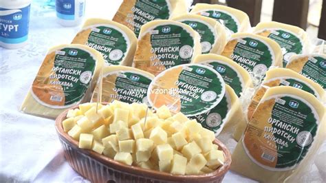 Pirot Organski KaČkavalj I Sir Iz Mlekarske Škole Video Tv Zona Plus Vesti Iz NiŠa I Okoline
