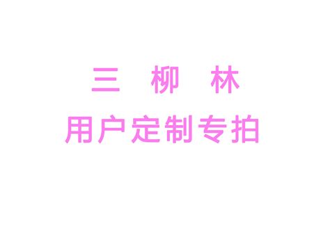 用户定制专拍 三柳林毕业设计论文网