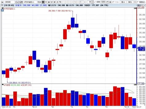 Posco홀딩스 포스코 침수피해로 가동 중단 주가 218↓ 글로벌이코노믹