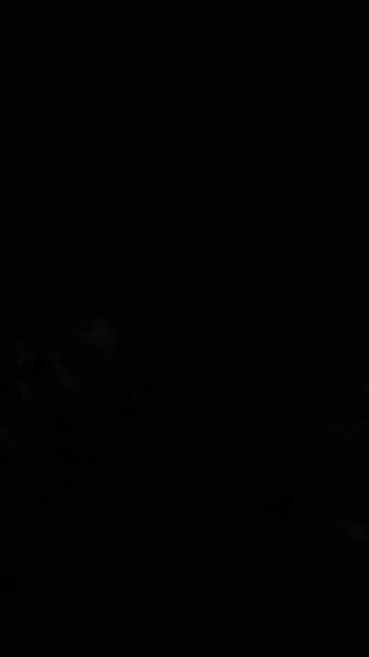 Raw Cd Off Web Pt2 Shemale Amateur Amateur Porn Xhamster