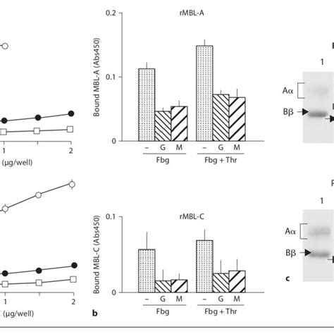Mobilization Of Ficolin 1 In Stimulated Neutrophils Distribution