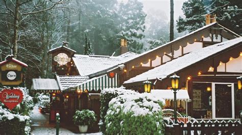 The Disappearance Of Willi Koeppen