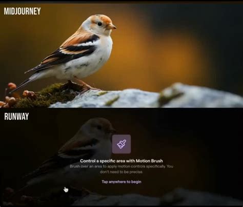 Rayyan Shaikh On Linkedin Ai Runway Creativetech Techtransformation Digitalinnovation