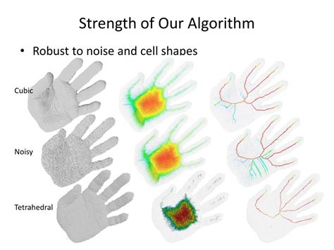 ppt a simple and robust thinning algorithm on cell complexes