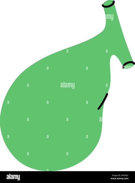 Gallbladder Human Internal Organ Vector Illustration Stock Vector