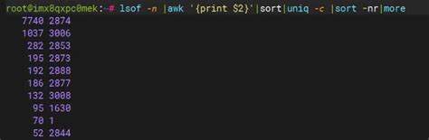 Lsof 列出当前系统已经打开的所有文件 91program 博客园
