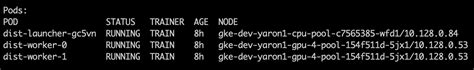 Distributed Training Workloads