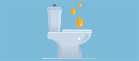 Ammonia Odor In Urine Health Significance Explained