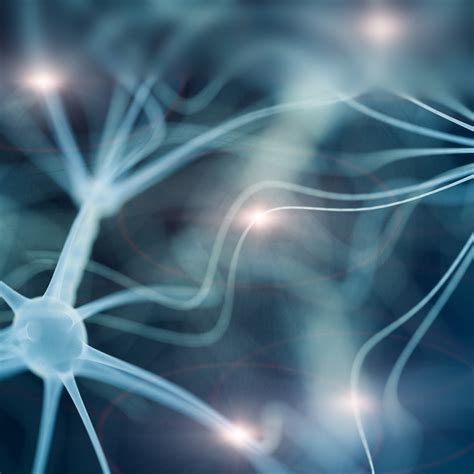 Human Genetic Modification Center For Genetics And Society