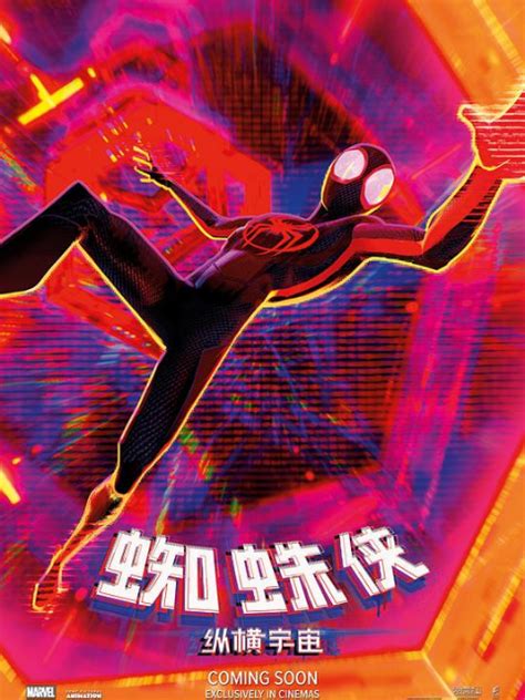 蜘蛛侠：纵横宇宙中文版 电影 高清正版在线观看 Bilibili 哔哩哔哩